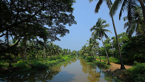 History of Punnayoorkkulam | Heritage Villages of Kerala | Tourist ...